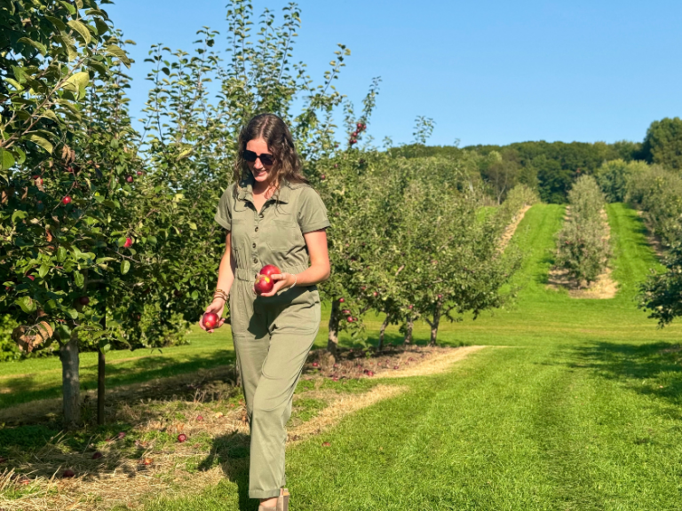 Apple Orchards in Chippewa County